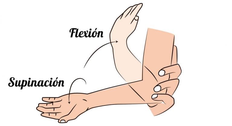 Conoce el codo de niñera: ¿qué es? - Tratamiento en FisioClinics Palma ...